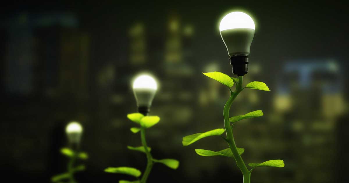 Biomass | Discover our energy at RWE in the Benelux